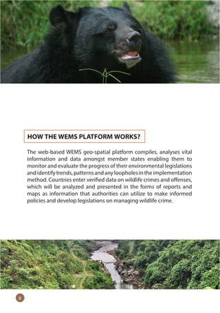 WEMS Brochure-Updated14Nov (1) | PDF