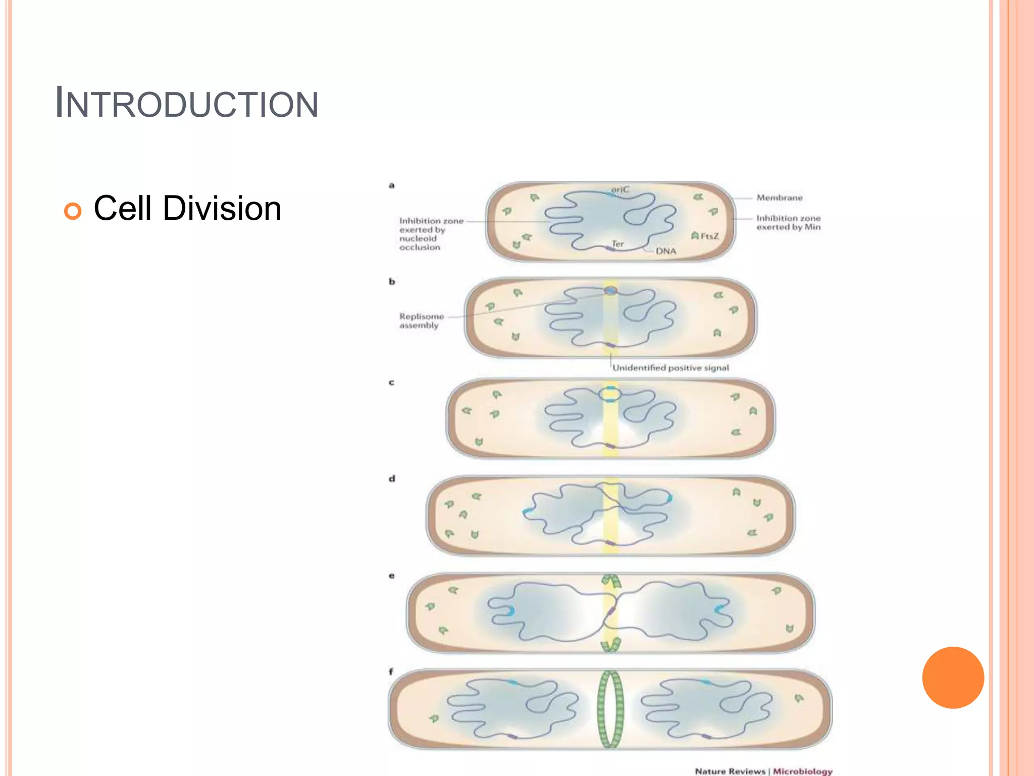 FRET Microscopy Presentation | PPTX