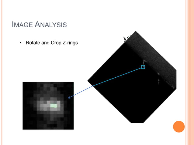 FRET Microscopy Presentation | PPTX