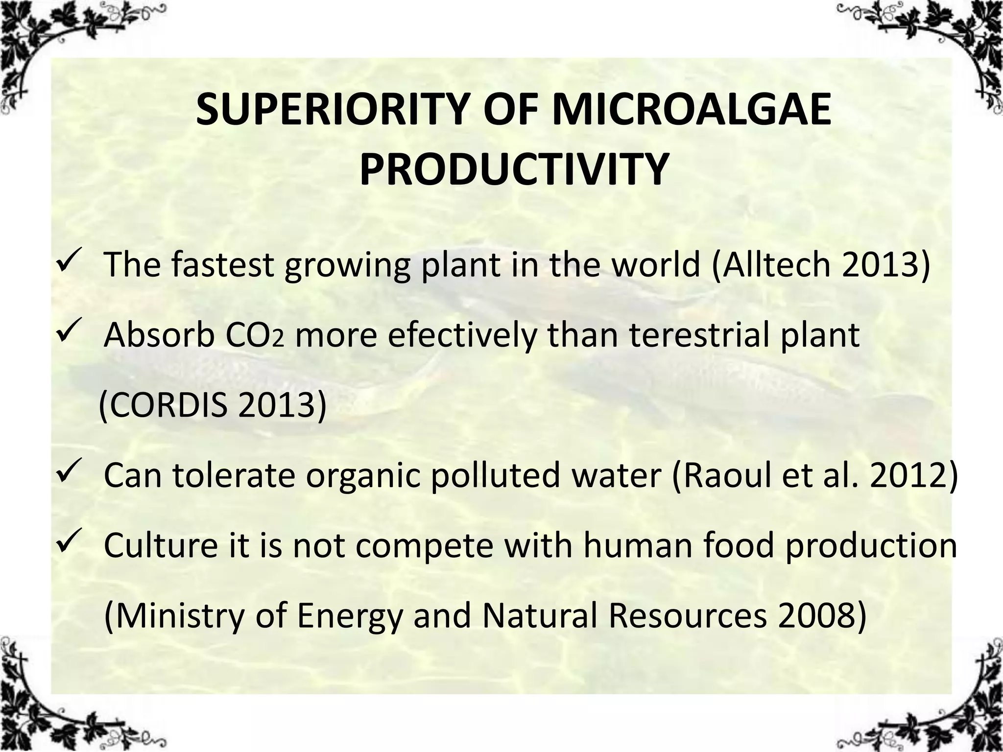 MICROALGAE MULTIREFLECTOR LIGHT PENETRATOR | PPT