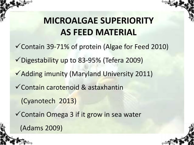 MICROALGAE MULTIREFLECTOR LIGHT PENETRATOR | PPT