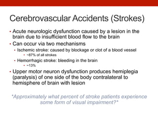 Vision Deficits Post-Stroke In-Service | PDF