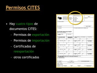 f705417432_CAOBA.ppt APLICACION DE LAS CITES | PPT