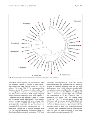 Capsular profiling of the Cronobacter genus and the association of ...