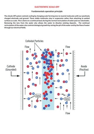 E-Scaleoff Profile | PDF
