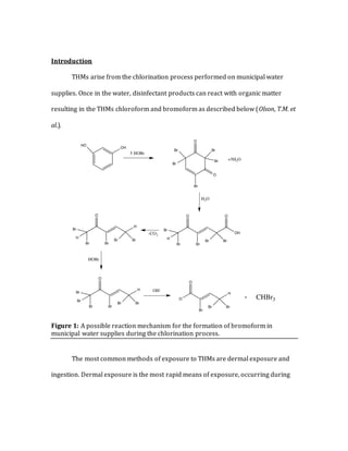 Balboa- Final Spring SYE Paper. | DOCX