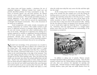 The World of Tibetan Nomads | PDF