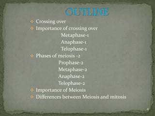 Meiosis | PPTX