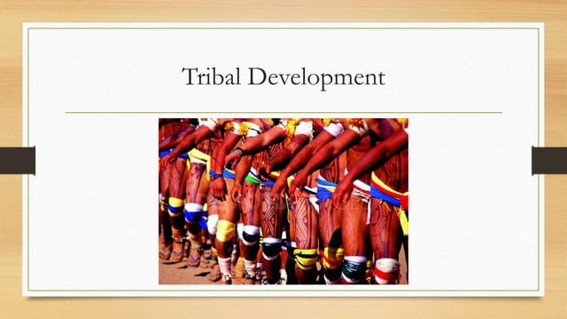8-2 Tribal Leadership Presentation | PPTX