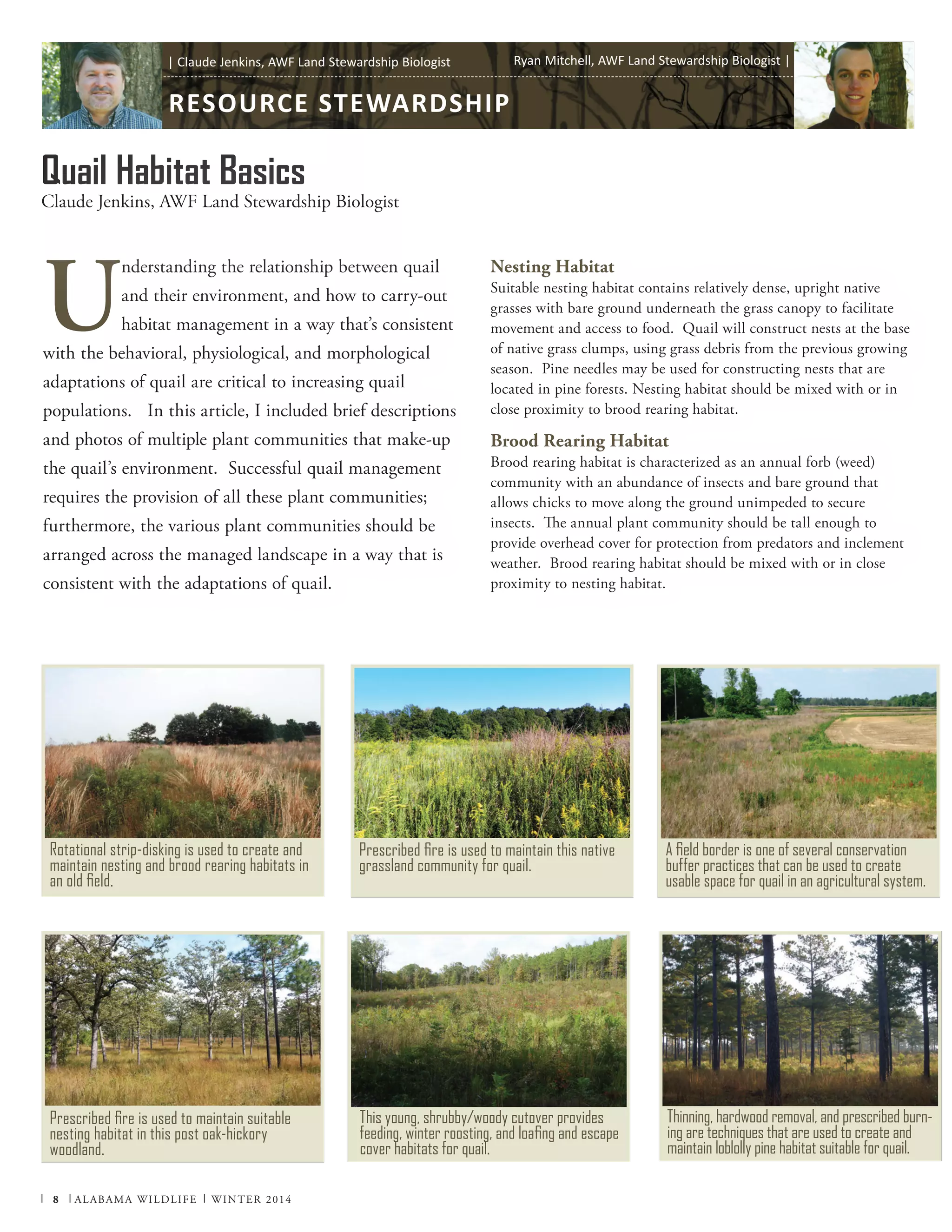 Quail Habitat Basics | PDF