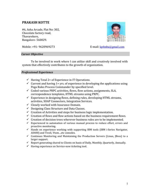RESUME PEGA | PDF