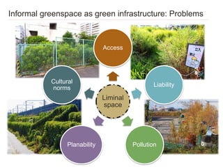 Informal greenspace as green infrastructure? Potential, challenges and ...