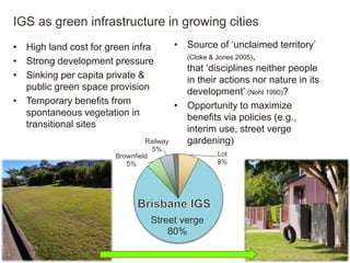 Informal greenspace as green infrastructure? Potential, challenges and ...