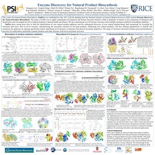 Natpro_poster_2015_final | PDF