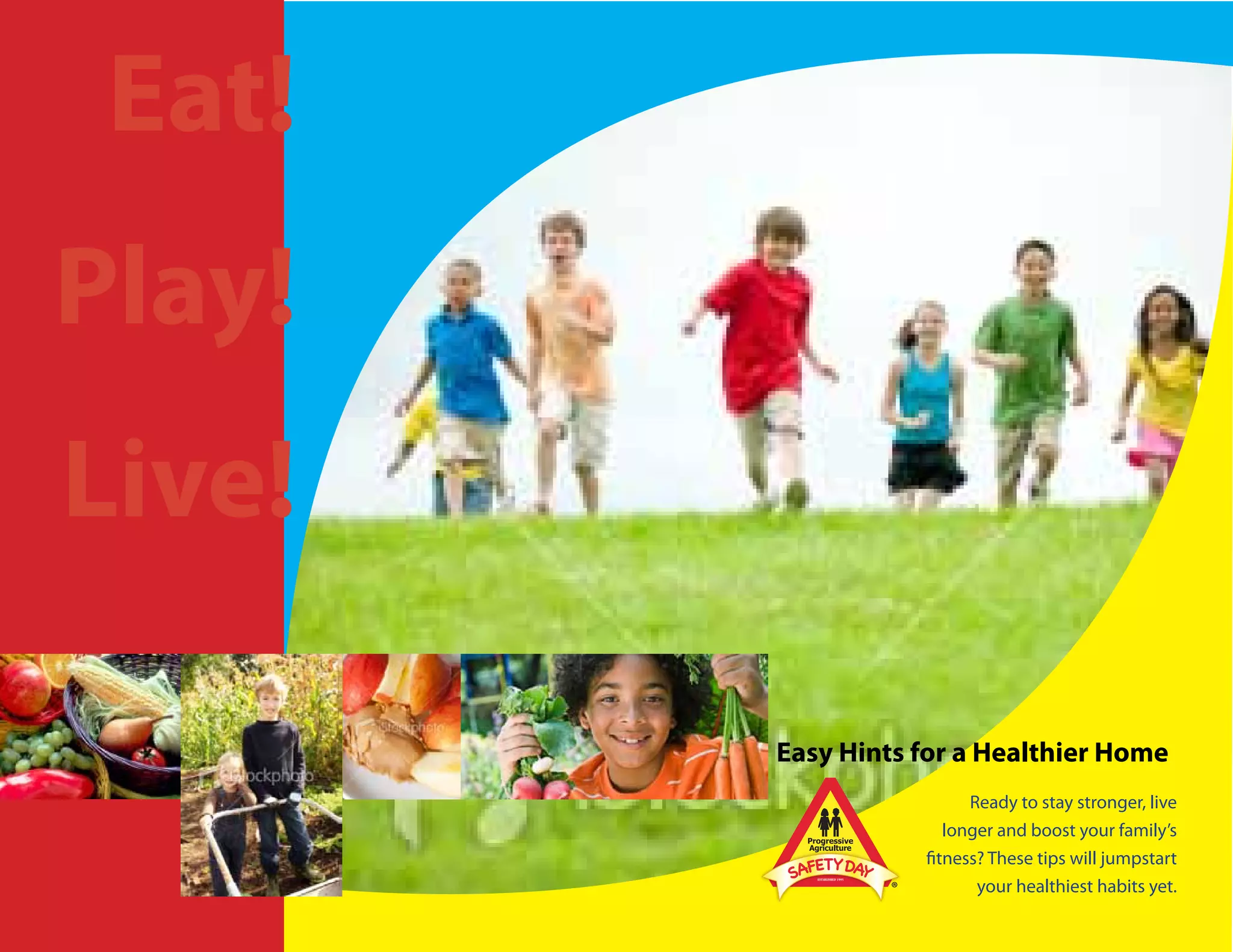 paf healthy lifestyle brochure.r3