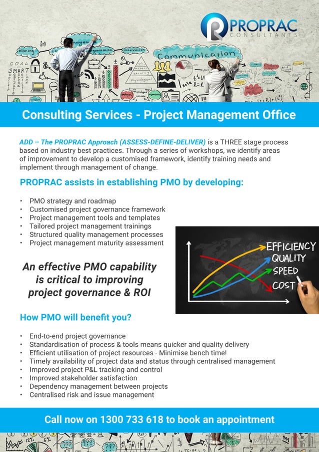 Consulting Services - PMO | PDF