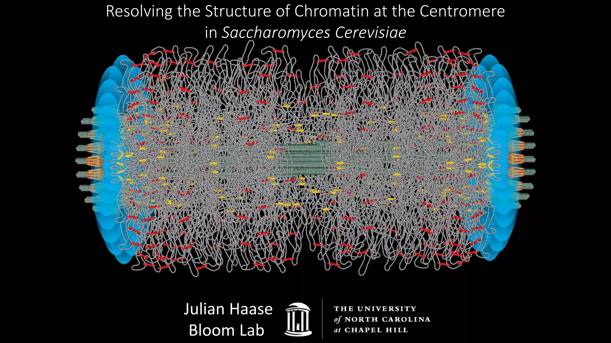 Bloom Lab Summary | PPT