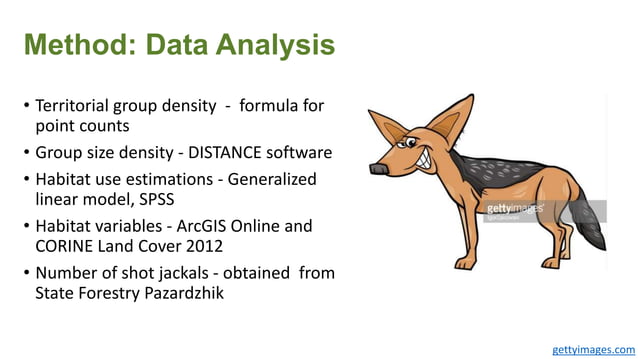 jackals | PPT
