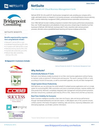 NetSuiteProduct | PDF