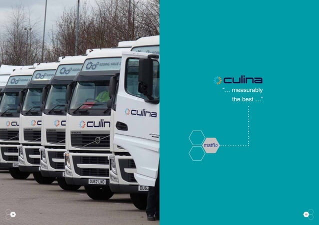 DAI Matflo Supply Chain Brochure | PDF