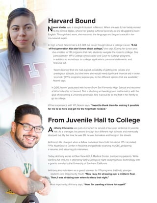 YPI Impact Report 2015 | PDF