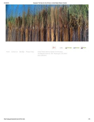 Exposed_ The Secret Life of Roots _ United States Botanic Garden | PDF ...