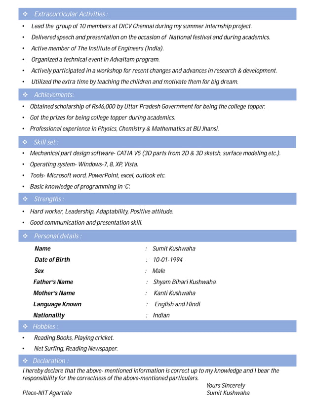 sumit cv light version | PDF