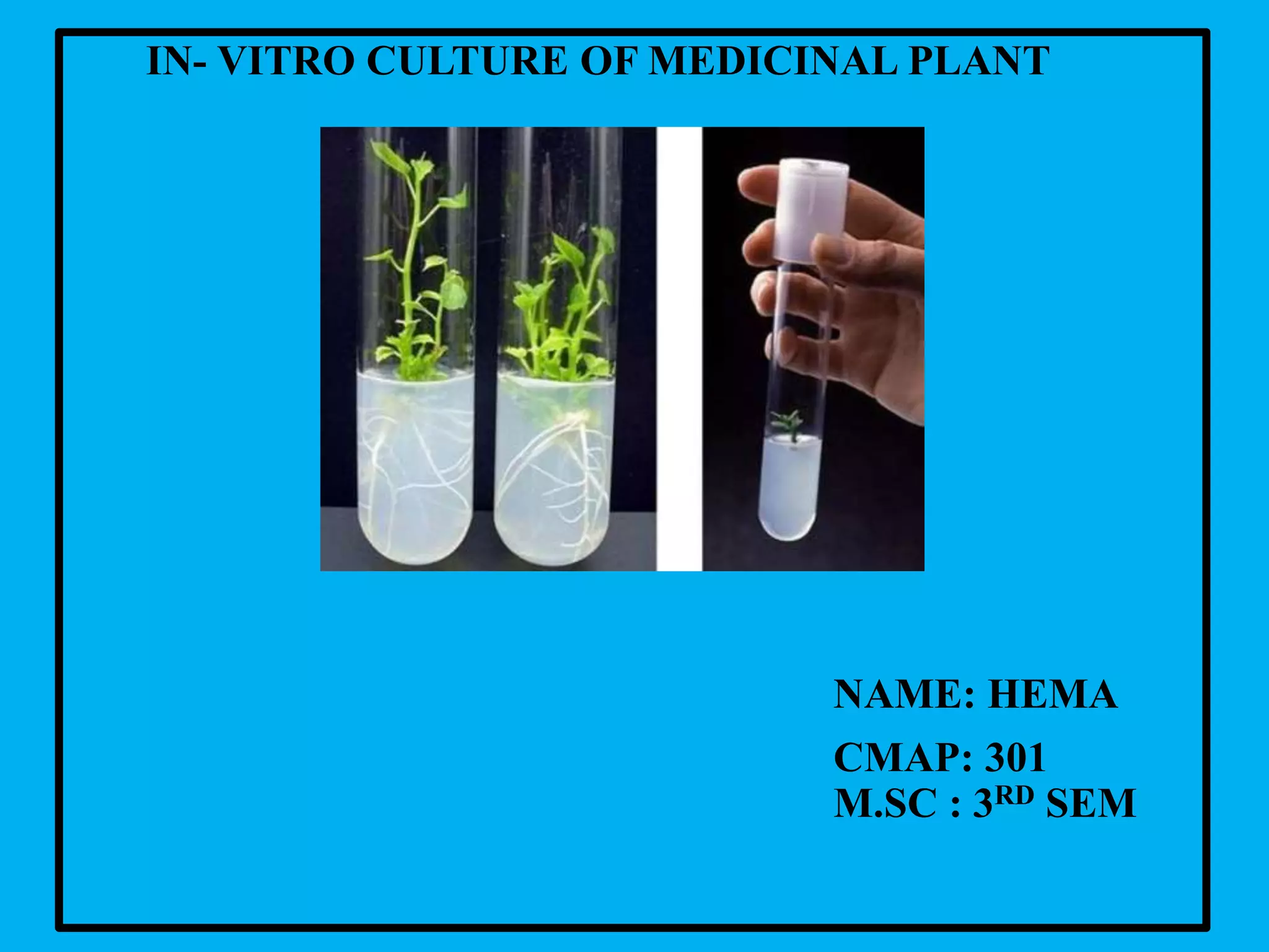 tissue culture | PPTX