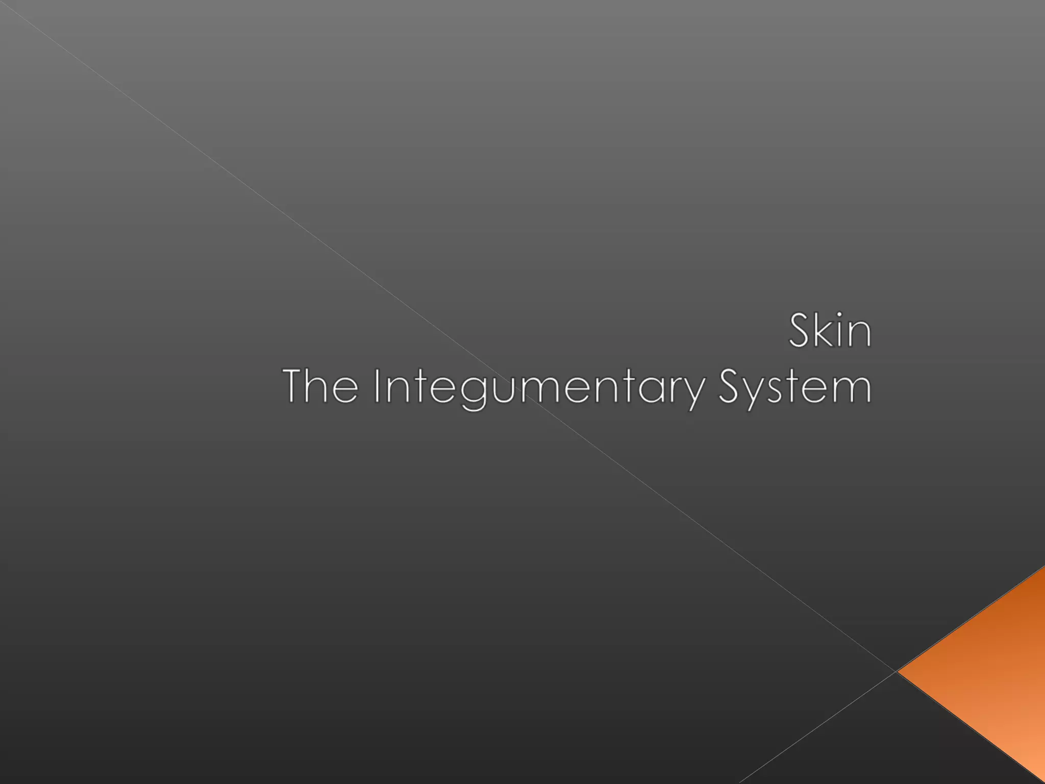 Skin physiology | PPT