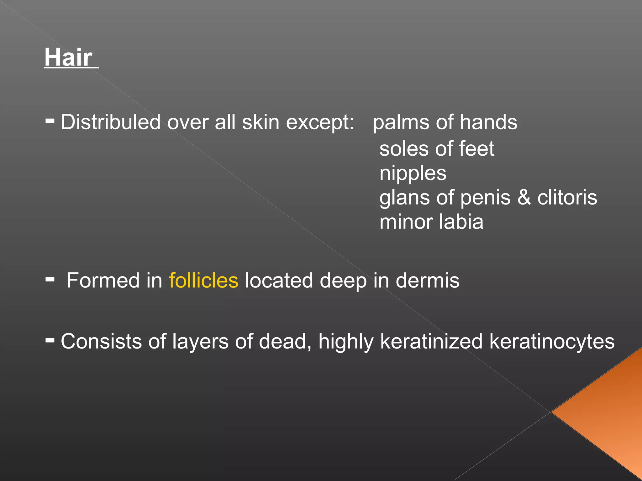 Skin physiology | PPT