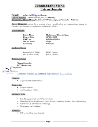 Faizan C.v | DOCX
