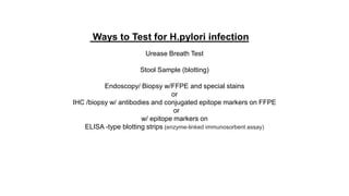 H.pylori and IHC 2 | PPTX