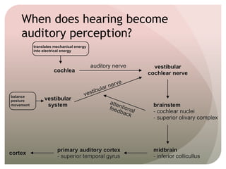 Auditory perception | PDF