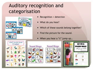 Auditory perception | PDF