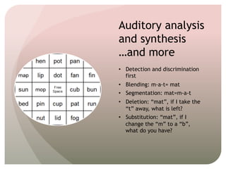 Auditory perception | PDF