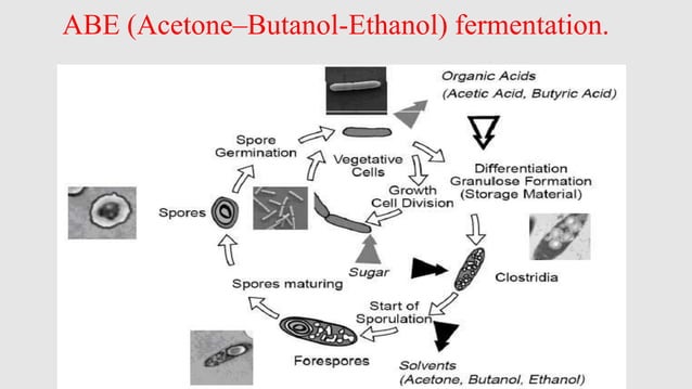 Industrial production of chemical solvents “Acetone” | PPTX | Chemistry ...