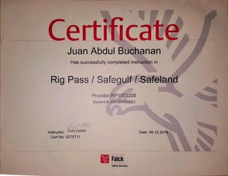 rig_pass_safe_gulf_falck_cert[1] | PDF