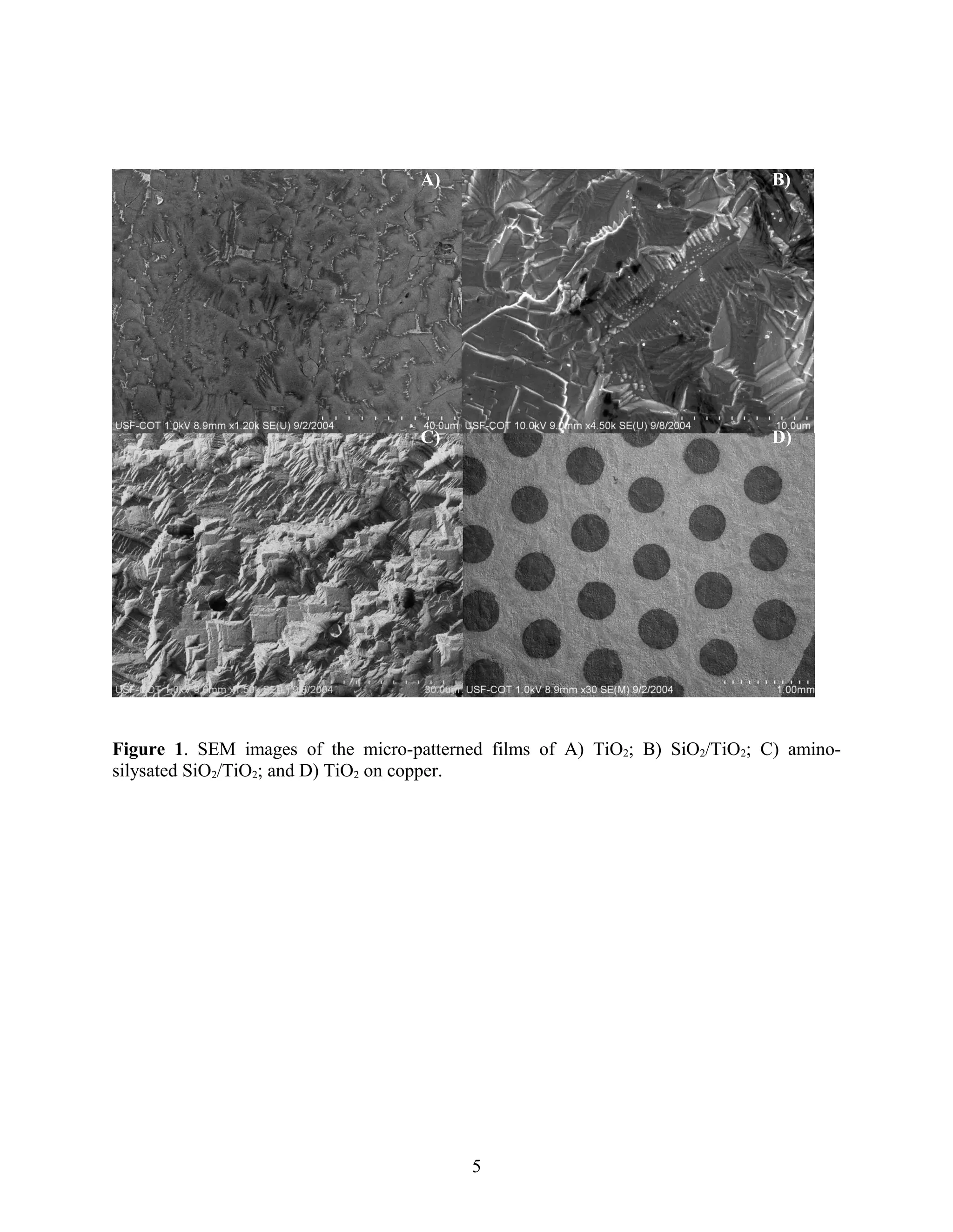 Xaioling Ding-NM | PDF