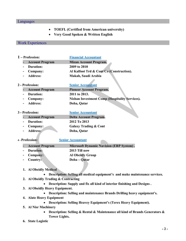 Chief Acc Ahmed Zaky | PDF