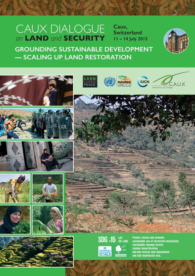 CDLS 2015 Report | PDF