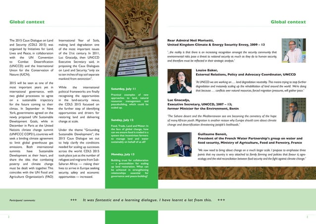 CDLS 2015 Report | PDF