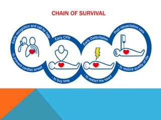 First Aid | PPTX