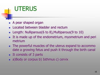 ANATOMY OF FEMALE REPRODUCTIVE SYSTEM AYURVEDIC AND MODERN PERSPECTIVE ...