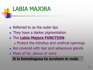 ANATOMY OF FEMALE REPRODUCTIVE SYSTEM AYURVEDIC AND MODERN PERSPECTIVE ...