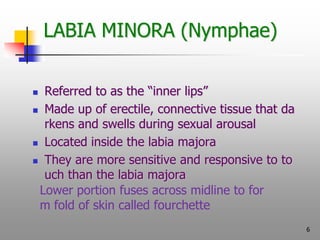 ANATOMY OF FEMALE REPRODUCTIVE SYSTEM AYURVEDIC AND MODERN PERSPECTIVE ...