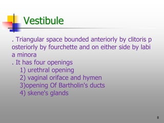 ANATOMY OF FEMALE REPRODUCTIVE SYSTEM AYURVEDIC AND MODERN PERSPECTIVE ...