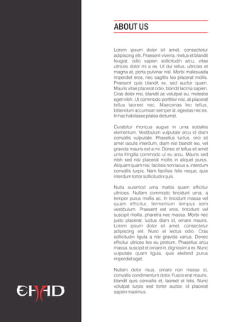 Ehad Catalogue 2015 (1) | PDF