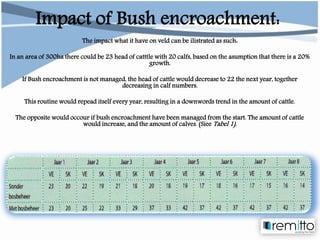 Bush Encroachment | PDF