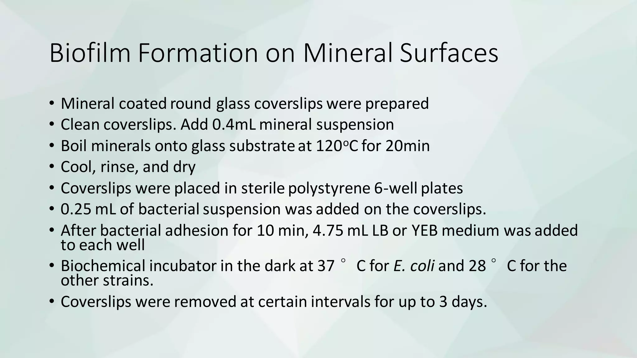 Atomic force microscopy measurements of bacterial adhesion and biofilm ...