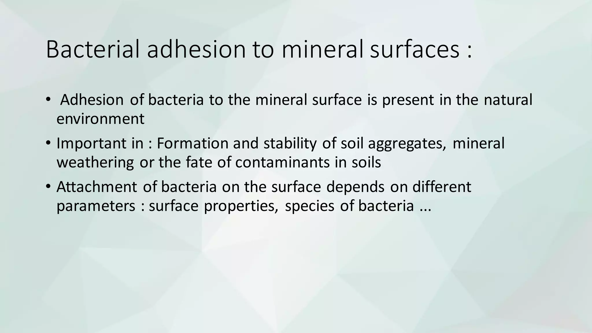 Atomic force microscopy measurements of bacterial adhesion and biofilm ...